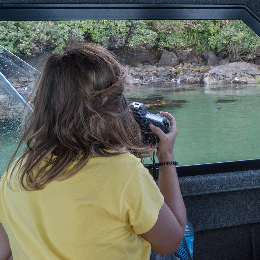 Stewart Island Pelagic Bird Tour - Half Day | Rakiura Charters